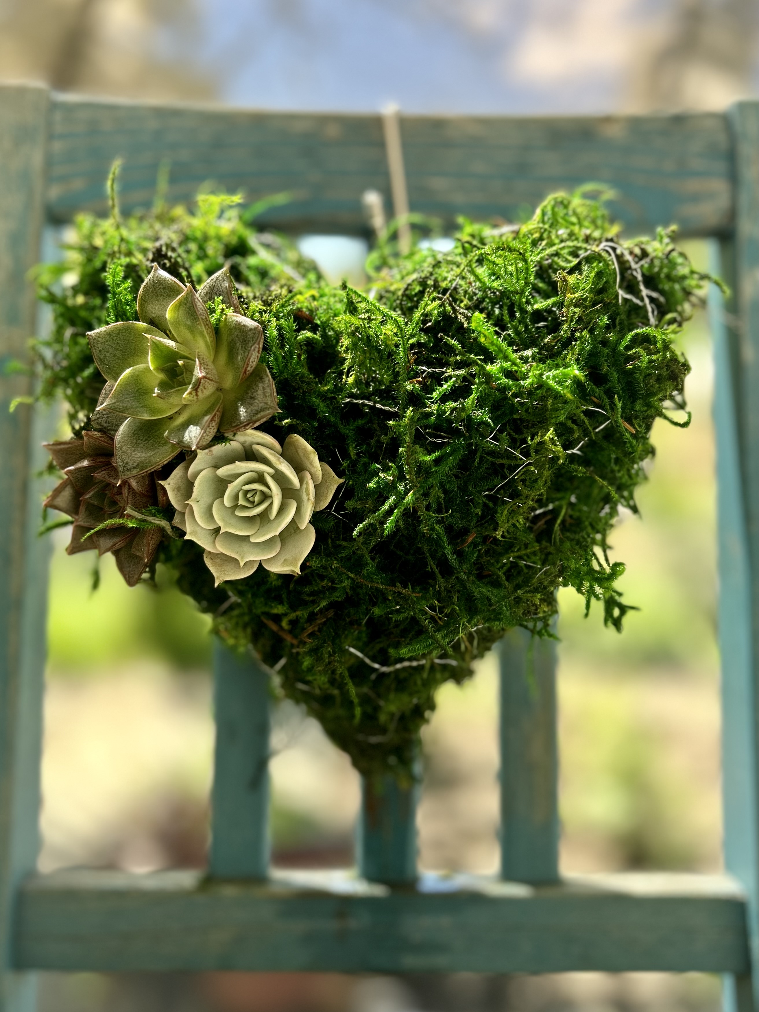 Lush Roots – Lush Roots creates handmade plant and paper art with ...